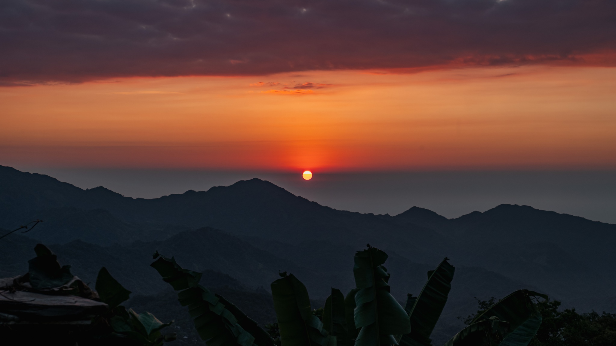 Que faire à Minca en Colombie: découvrez notre guide complet